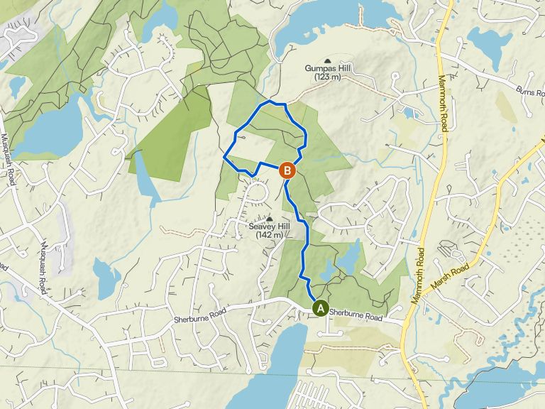 Clifton, Phoebe Rock, Seavey, Skyview, Gumpus, and Spalding Hill Trail ...